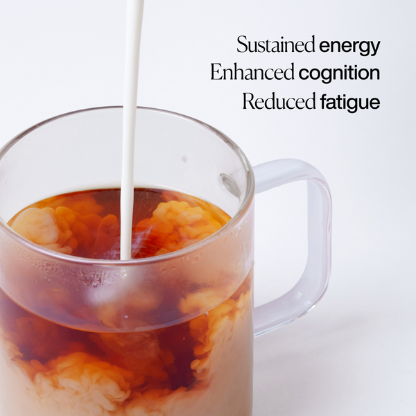 Rise Tea | English Breakfast Tea + Nootropics | Mission Drinks